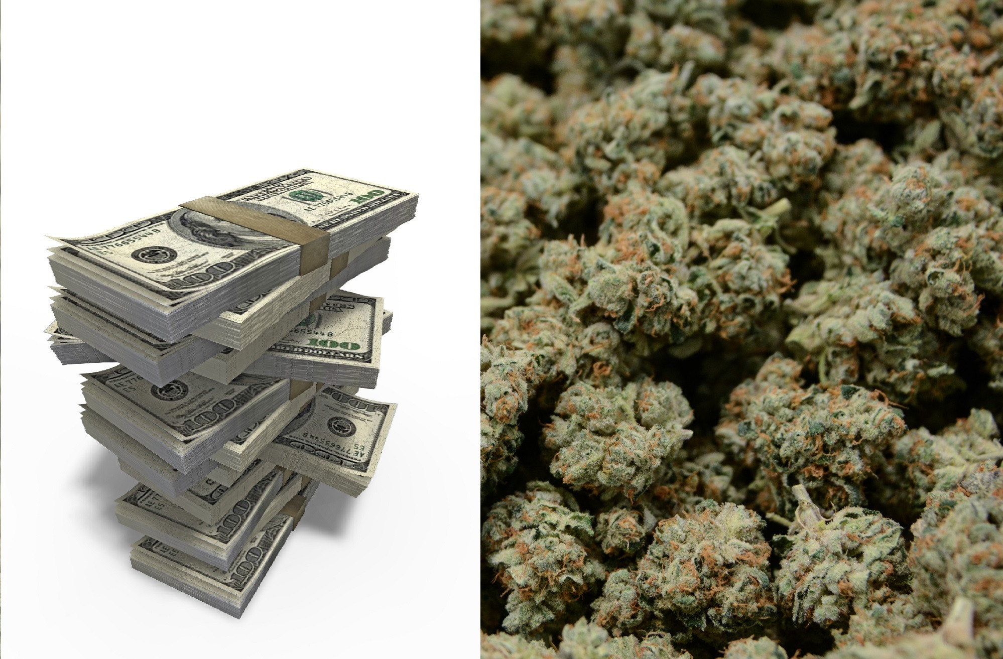 Debt-based financing in cannabis industry - Marijuana Venture Debt-based financing in cannabis industry - Marijuana Venture