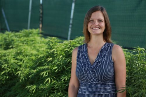 crystal-oliver - Marijuana Venture