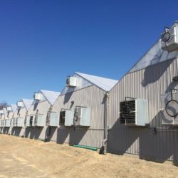 Marijuana Business Industry Hub | Pot Business Learning, 'How To', And News