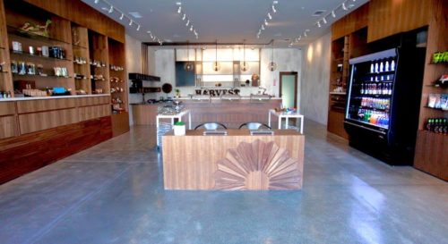 Retail Design Crash Course - Marijuana Venture