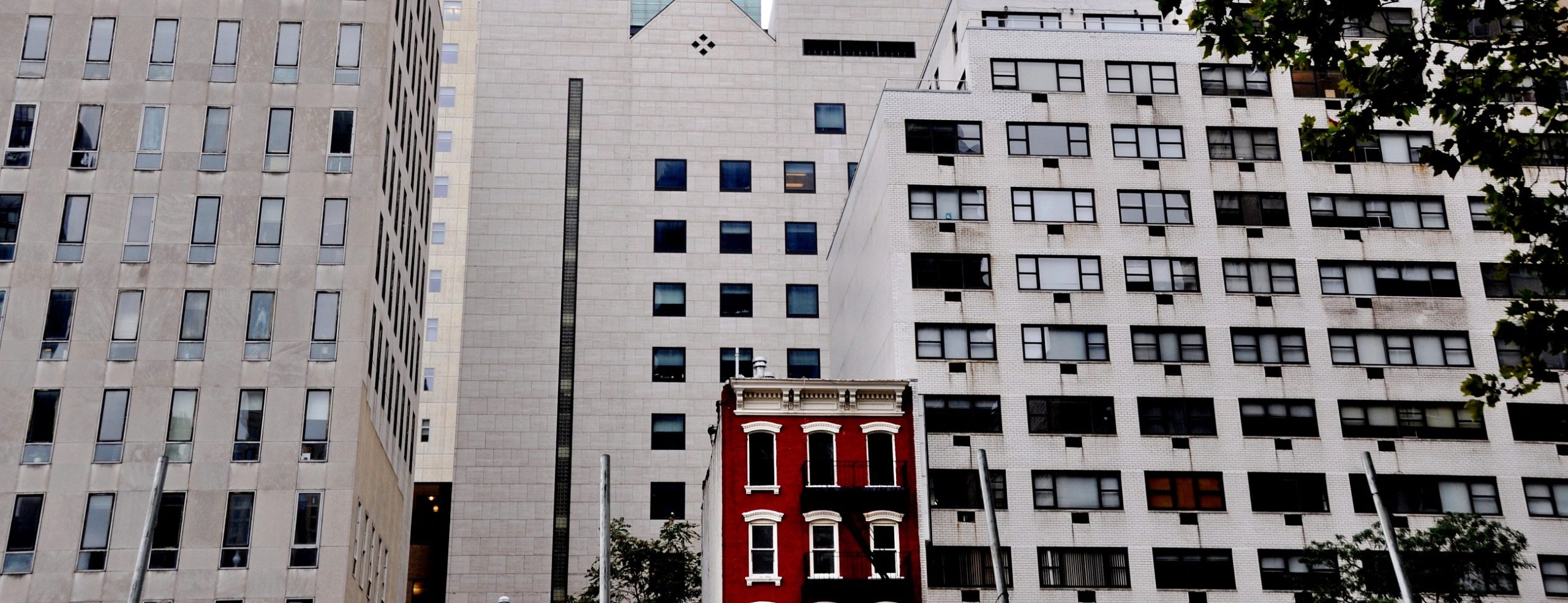 Jamie Rosen - Marijuana Venture