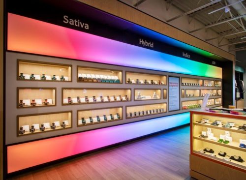 Amazing Retail Design - Enlightened - Marijuana Venture